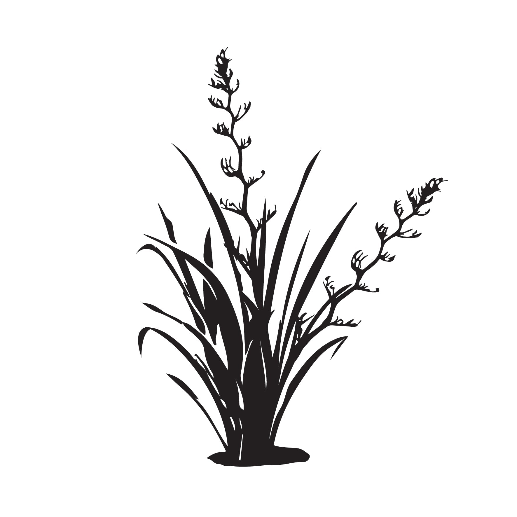 Dwarf New Zealand Flax Varieties: Perfect Picks for Beginner Gardeners ...