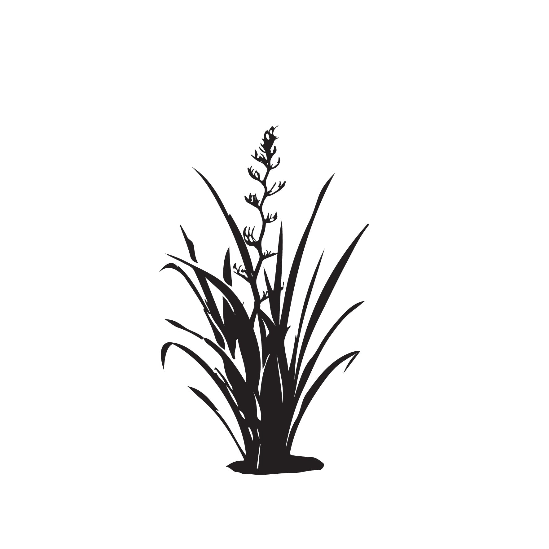 Dwarf New Zealand Flax Varieties: Perfect Picks for Beginner Gardeners ...
